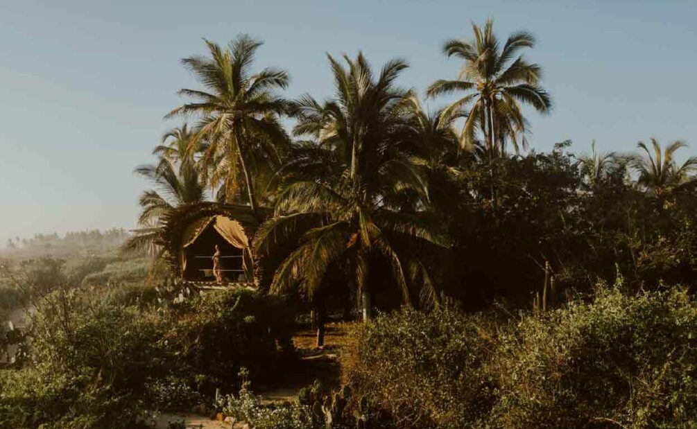 Expansion Playa Viva ES - Playa Viva Luxury Eco Resort, Mexico